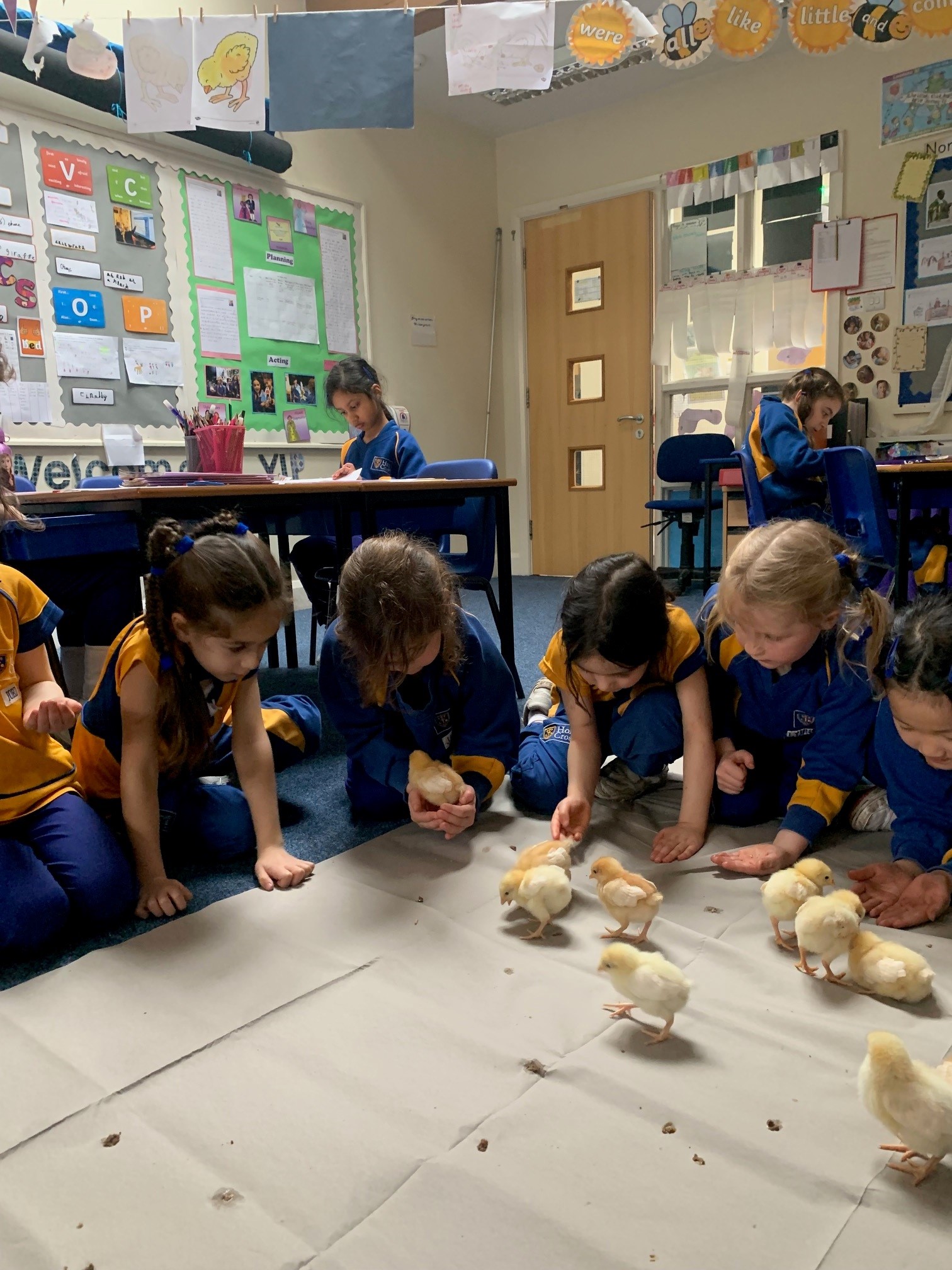 Holy Cross Prep School | Chicks In School | Catholic Girls School ...